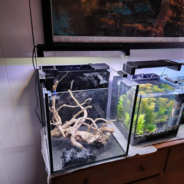 Finnex Stingray Original LED Light Riser, Attractive Stable Elevated ...