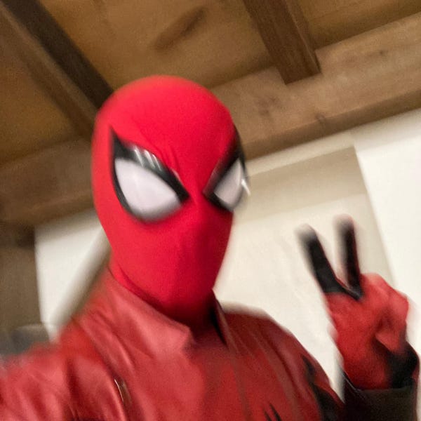 Human Spider Sweater Spiderman Sam Raimi 2002 - Etsy