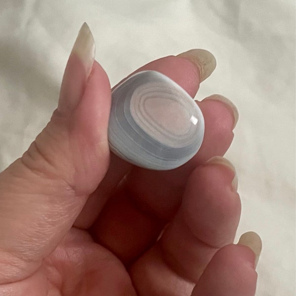 Mystery Crystal Mushroom Vending Machine Set of Two Mushrooms Crystal ...