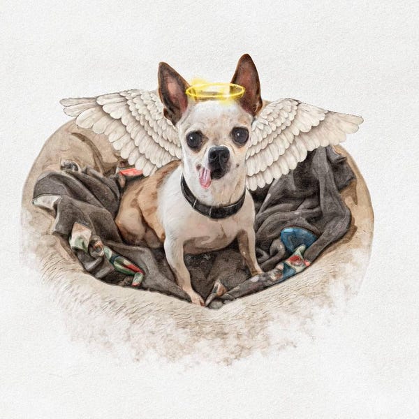 Custom Memorial Pet Drawing, Pet Portrait From Photo, Painting ...