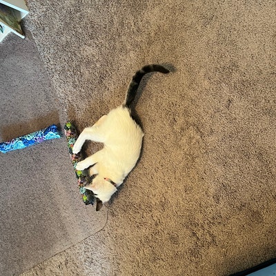 Sir Reginald Kick Stick Cat Toy Organic Catnip Kicker Toy - Etsy