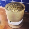 Farmhouse Sprouter Terra Cotta Microgreen Sprouter Modern Rustic ...