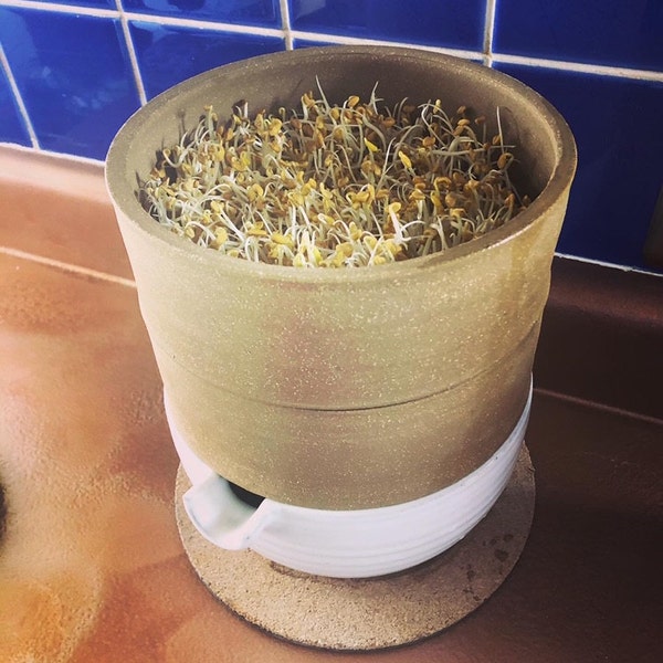 Farmhouse Sprouter | Terra Cotta Microgreen Sprouter | Modern Rustic ...