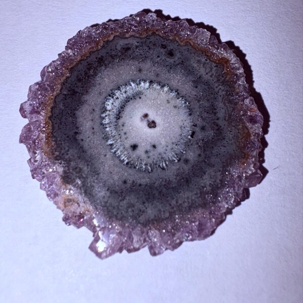 Hand Carved Bone Cabochon Talon Pendant Setting, Tusk Shape Jewelry ...