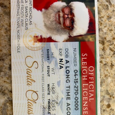 Passenger Princess ID Card photo Personalized - Etsy