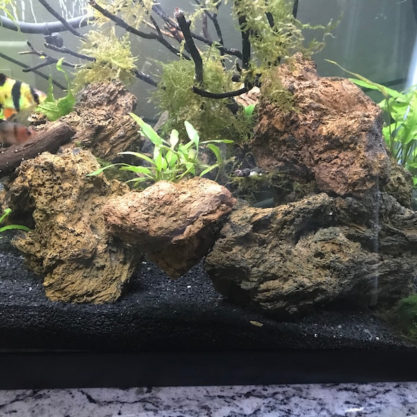 Aquarium Rock Pillar Twisted Lava Set Natural Renewable 6 Stones - Etsy