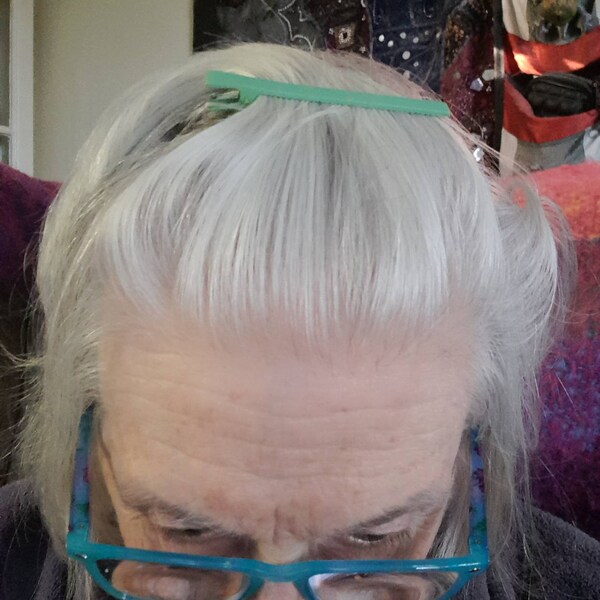 Must Have Side Combs X2 by Plain Jane Ladies Hair Combs Tortoiseshell ...