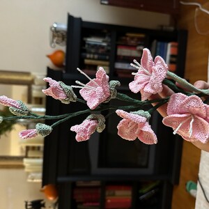 Crochet Polka Dot Begonia Plant Pattern Photo Tutorial - Etsy