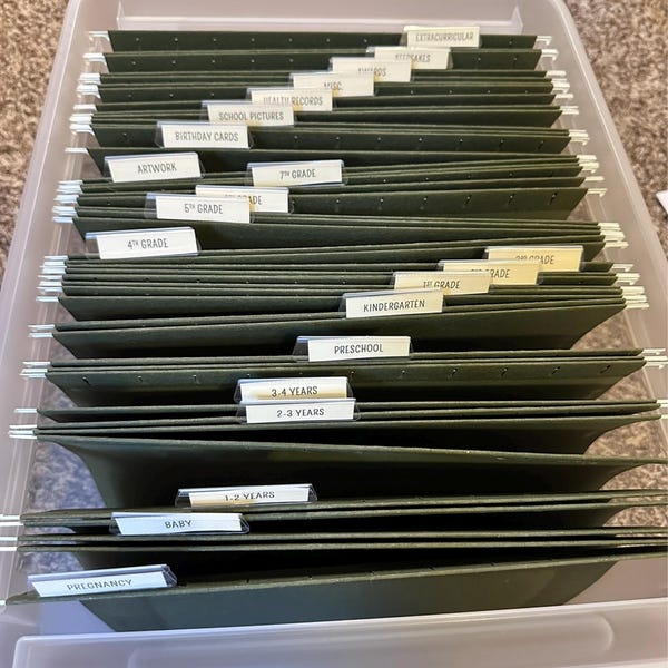 Printable Milestone Tote Labels- School File Folder Labels - Kids DIY ...