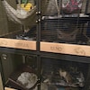 Full Length Cage Ledges for Full Cheeks Chew Proof City Loft Cage Kiln ...