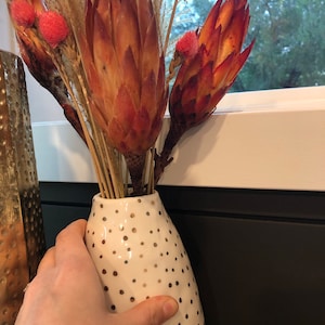 Preserved Lycopodium Bunchdried Princess Pine Grassdried - Etsy