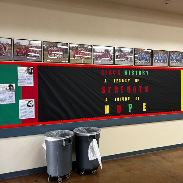 Set of 4 Educational US History Posters, Social Studies, Middle School ...