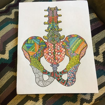Pelvis Bone and Lumbar Vertebrae PDF Coloring Page - Etsy