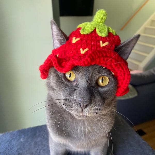 Cat Birthday Outfit | Crochet | Knitted | Letterbox Gift | Handmade ...