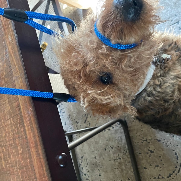 Anti Pull Lead Figure 8 Head Collar One Size Fits All Super Soft ...