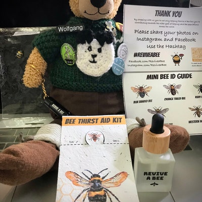 Bee Rescue Kit Gift Box Bee Revival Keyring portable Bee - Etsy