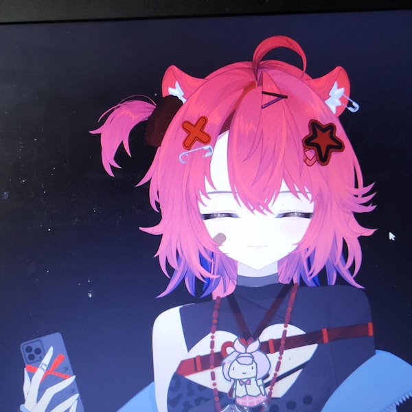 Live2DModel Snow Leopard [Vorgefertigtes Vtuber Modell/FULLY RIGGED ...
