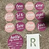 Acrylic Baby Milestone Discs/personalized Baby Shower Gift/baby Photo ...