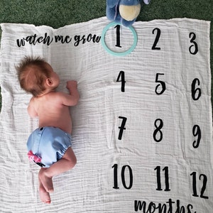 Pin-the-tail Donkey Cloth Diaper Cover or Pocket Diaper one Size for ...