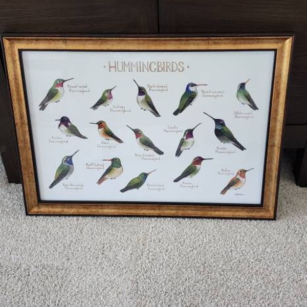 Michigan Freshwater Fish Field Guide Art Print / Fish Nature Study ...