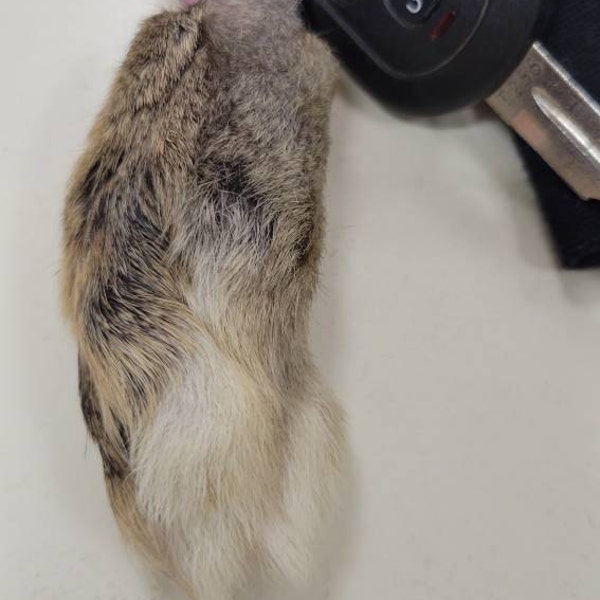 GENUINE Real Lucky Rabbit’s Foot Keychain Set of 3 - Etsy