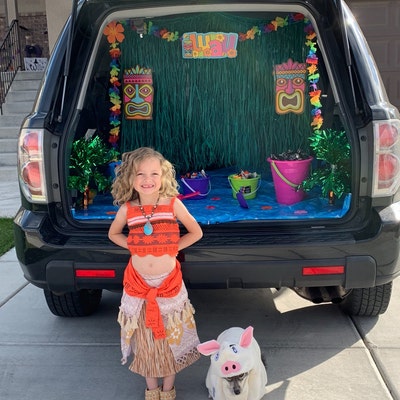 Dog Pig Costume, Pua From Moana Costume for Pets, Pig Costume for Dogs ...