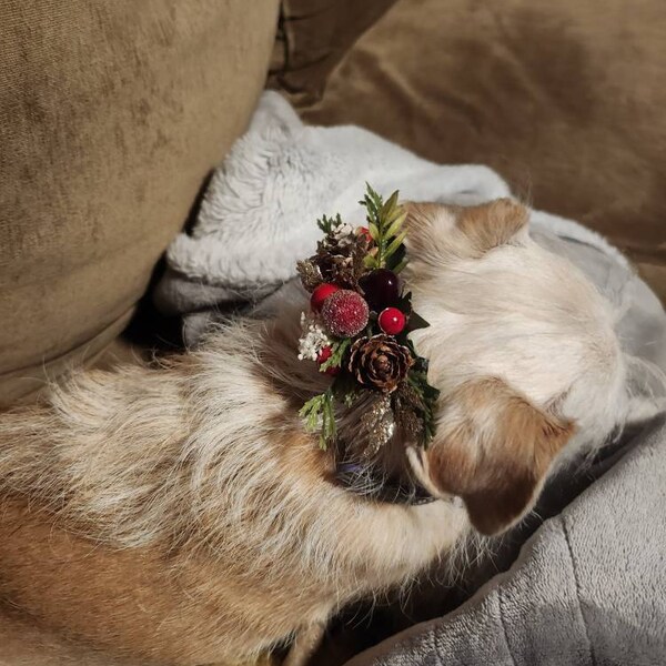 Don’t Feed the Bears Sign/ Camping Themed Table Sign, Camping Party ...