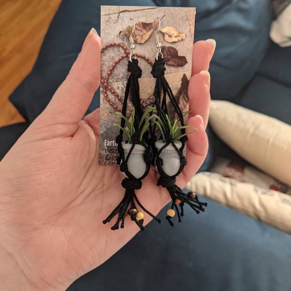 Hanging Plant Earrings - Etsy