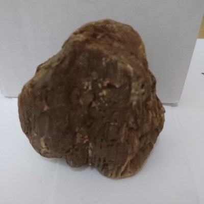 Orbicular Calamity Jasper - Etsy