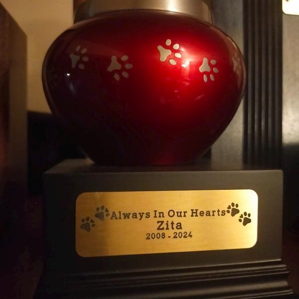 Silicone Guide Rings to Ensure Even Thickness of Putty and Clay Rolling ...