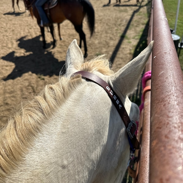 Tie Down Keeper/ Saddle Tassel - Etsy