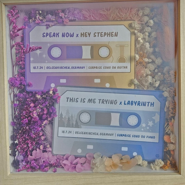 Cute Chibi Taylor Two Toned, Tour Outfit, Pop Star, Concert Performer ...