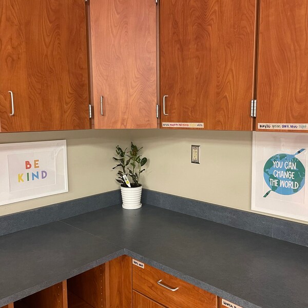 You Can Change the World | Classroom Decor, Be Kind, Motivational Wall ...