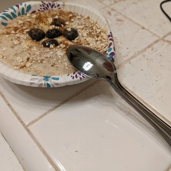 Morning Oatmeal Soap - Realistic Breakfast Cereal - Oatmeal With Fruit ...