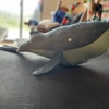 Denim Whale Instant Digital Printable Sewing Pattern With Step by Step ...