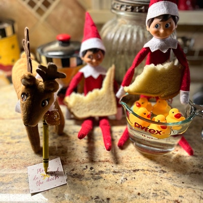 Christmas Elf Dont Feed the Ducks Prop, Christmas Elf Kit, Holiday Elf ...