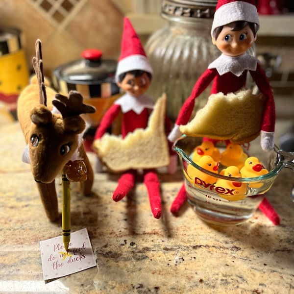 Christmas Elf Don’t Feed the Ducks Prop, Christmas Elf Kit, Holiday Elf ...