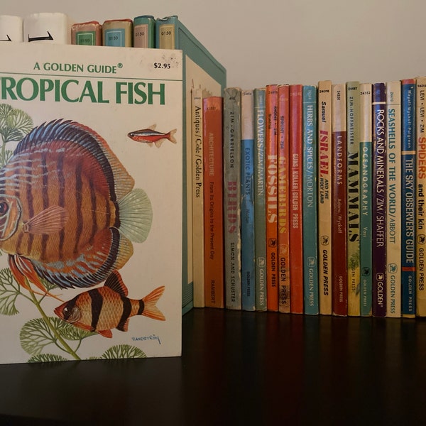 Vintage My First Stamp Album - Etsy