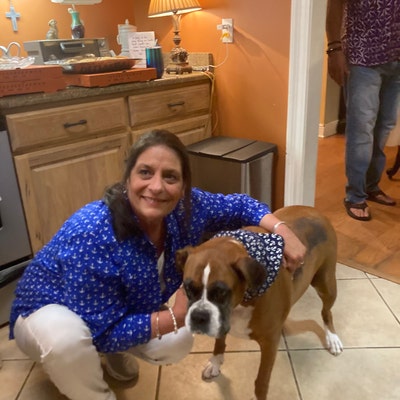 Money, Dollar Sign, Cash, Dollar Bill Dog Bandana, Handmade, Slide On ...