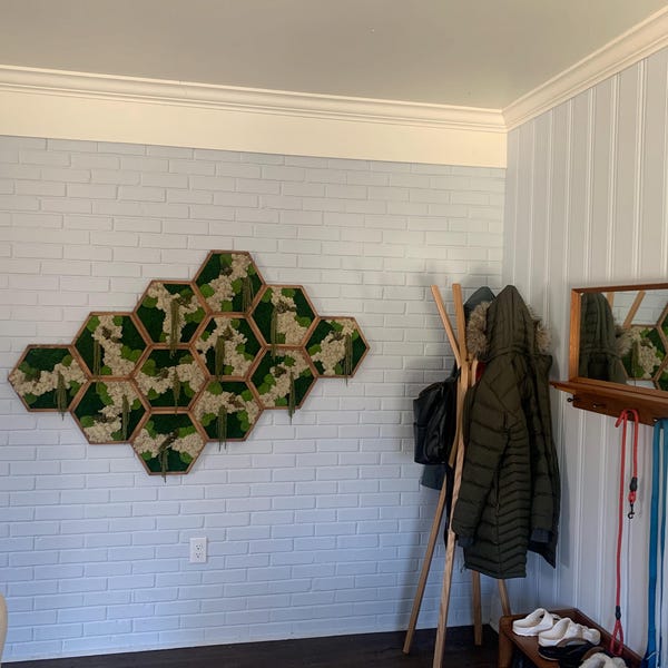 Moos Wandkunst Bienenwabe | Vier Größen, 5 x 6 Zoll, 8 x 9 Zoll, 10 x ...