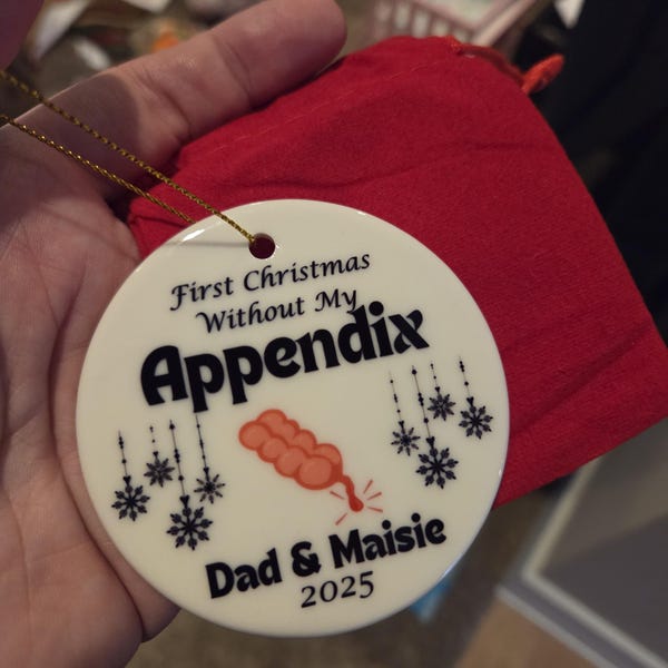 Personalized Appendectomy Ornament, Handmade Appendix Removal Joke Gift ...