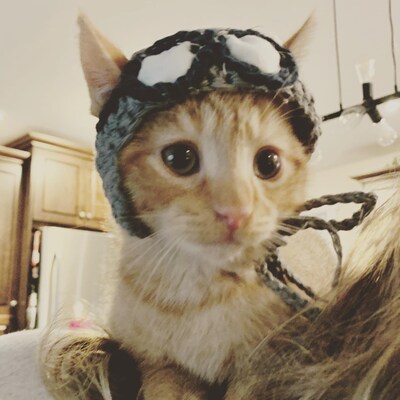 Aviator Hat Pattern, PDF Pattern, Oona Patterns, Hats for Cats, Cat Hat ...