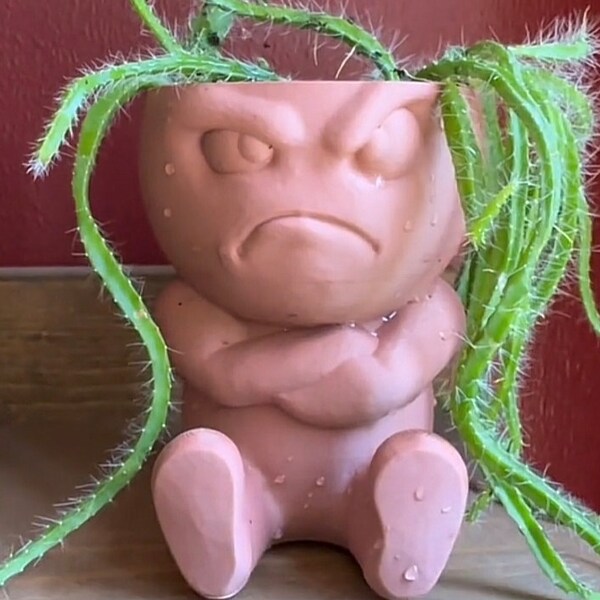 Grumpy Planter - He's Never Happy! | 3 Sizes | With or Without Drainage ...