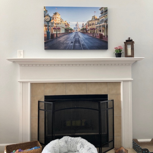 The Tree of Life at Night - Animal Kingdom Photo Prints and Canvas Wraps, Walt Disney World - Etsy