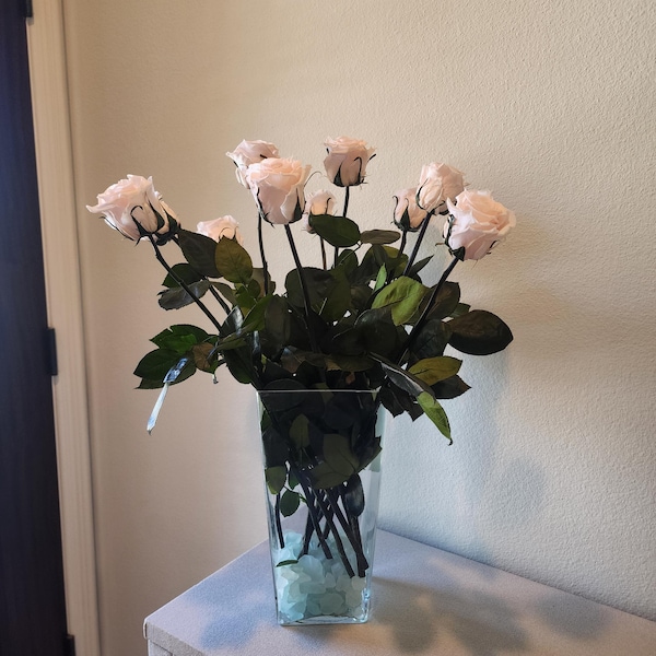 Pack of 16 Long-stem White Preserved Roses | Valentines Day Gift ...