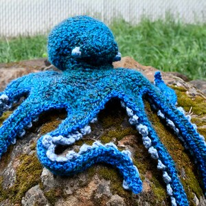 Crochet Pattern Realistic Cuttlefish-amigurumi Cuttlefish-stuffed ...