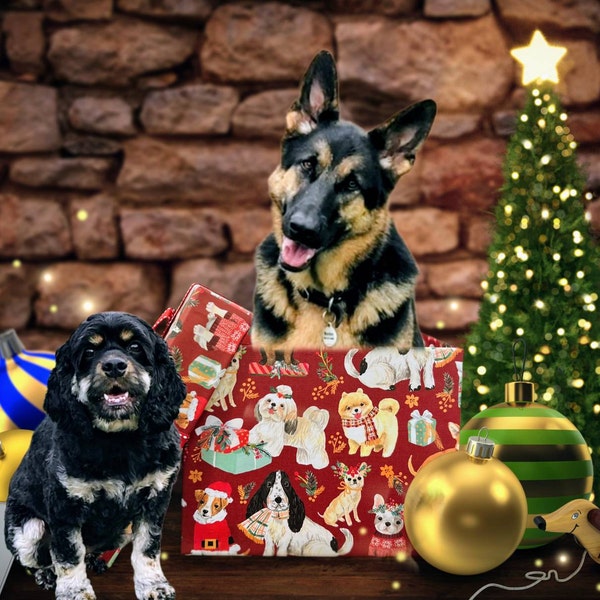 Christmas Digital Backdrop, Christmas Dog Photography, Pet Digital ...