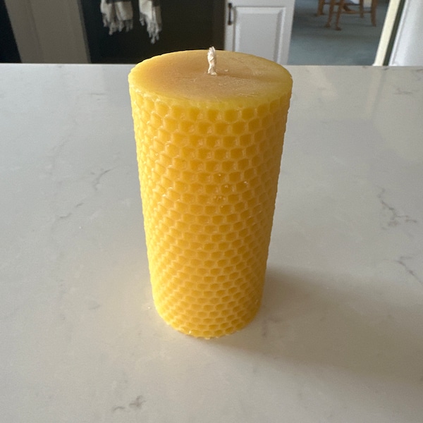 Swarm Trap for Honey Bees, Cone Trap, Swarm Lure, Lemongrass Essential ...