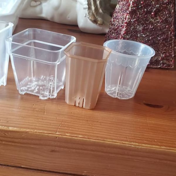 Small Clear Square Nursery and Seedling Pot Container Study Clear ...