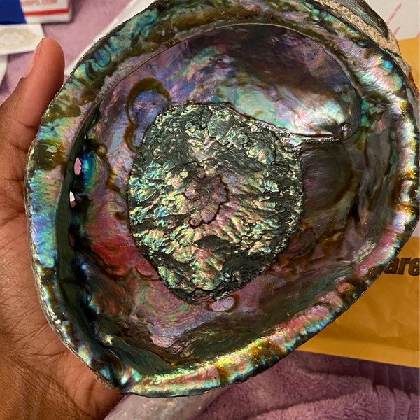 Large Abalone Shell, Colorful Abalone Shell, Natures Painting in a ...